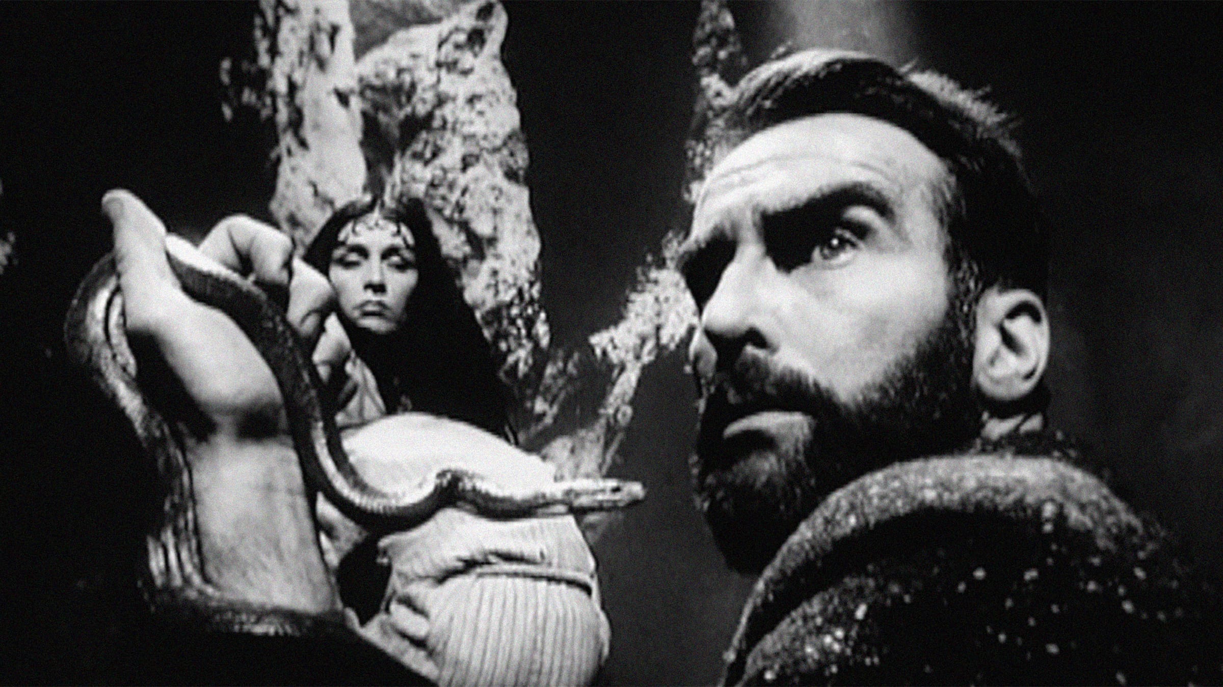 Freud (1962) – Movie Musings